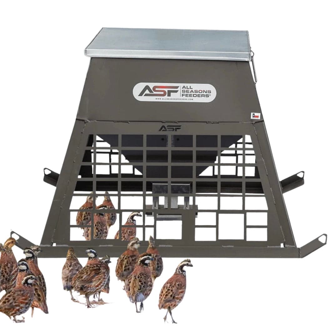 Quail Feeder | Wild Game Bird Feeder | All Seasons Feeders