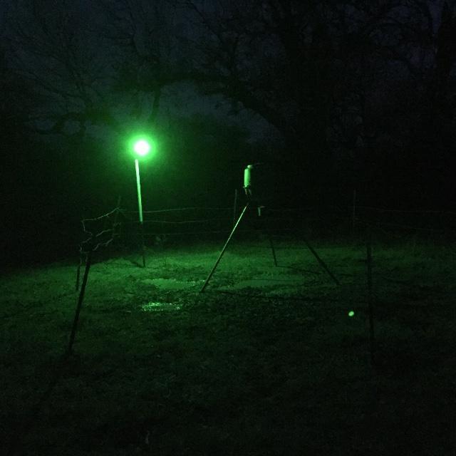Green Hog Hunting Light | ASF Boar Light | All Seasons Feeders
