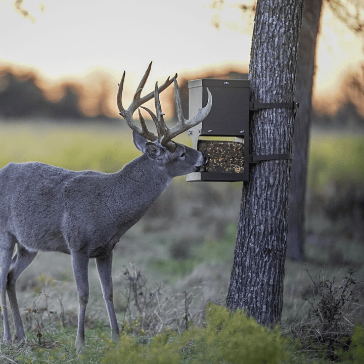EZ Deer Block Feeder | Protein Deer Block Holder