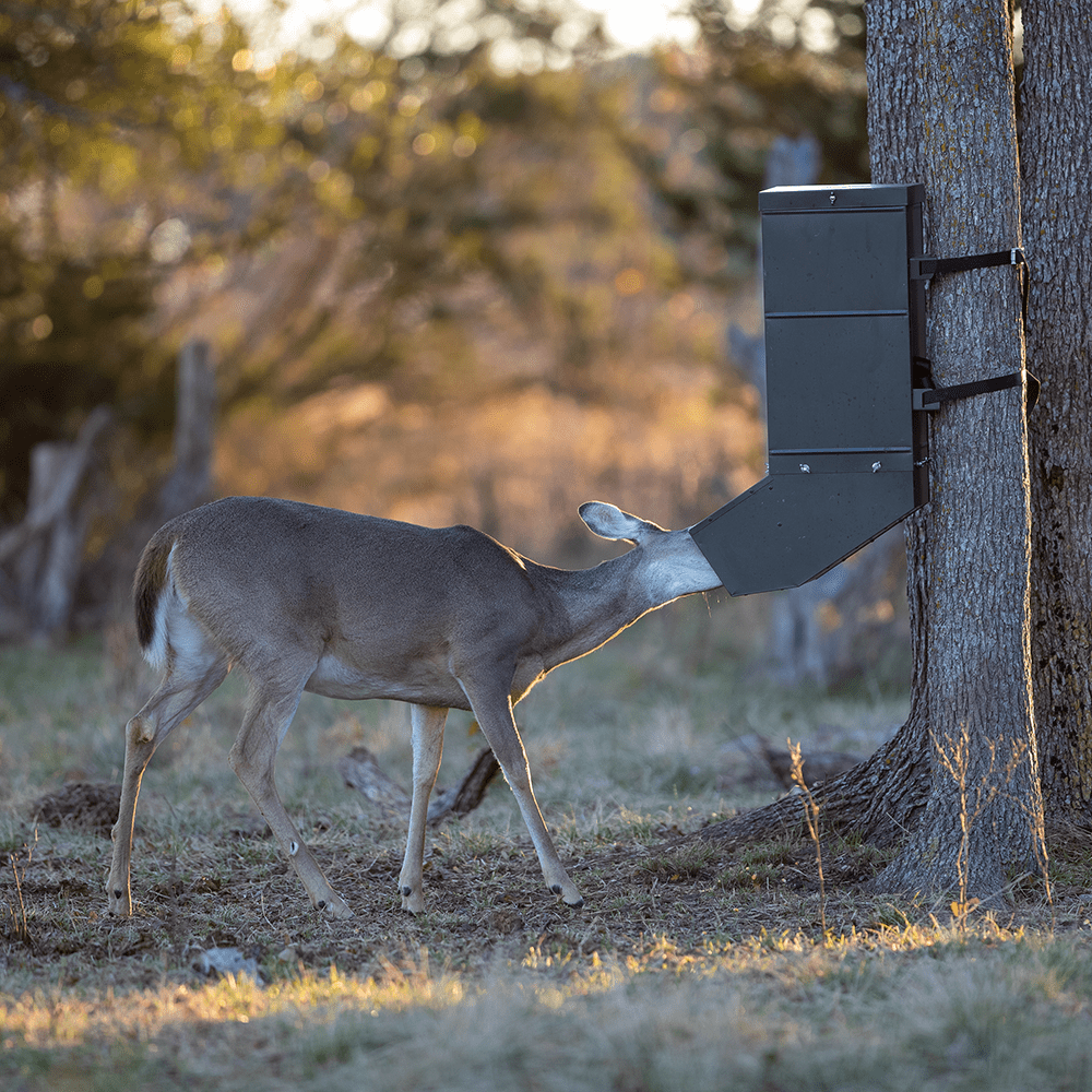 EZ Tree-Mounted Deer Feeder for Rice Bran, Corn, & More