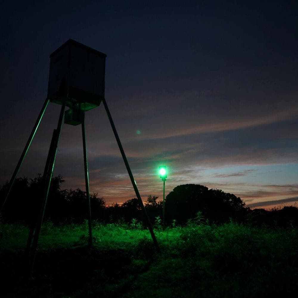 Green Hog Hunting Light | ASF Boar Light | All Seasons Feeders