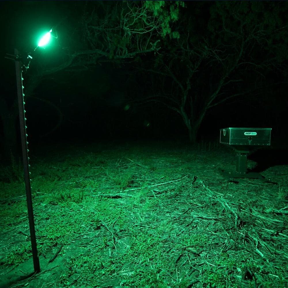 Green Hog Hunting Light | ASF Boar Light | All Seasons Feeders