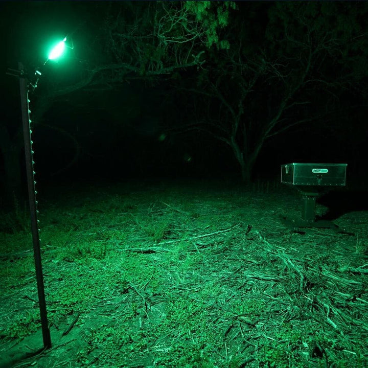Green Hog Hunting Light | ASF Boar Light | All Seasons Feeders