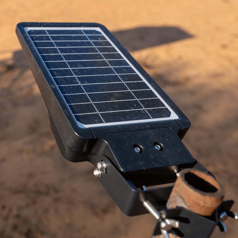 Green Hog Hunting Light | ASF Boar Light | All Seasons Feeders