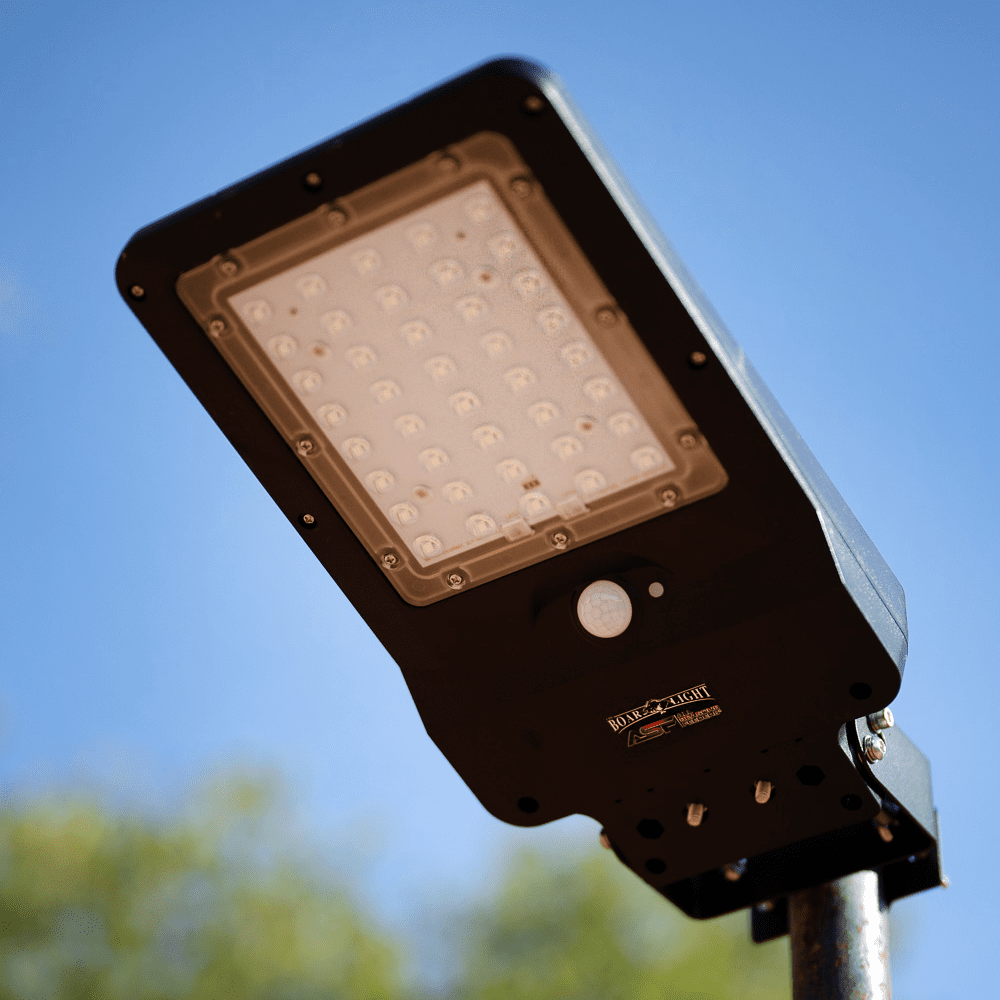 Green Hog Hunting Light | ASF Boar Light | All Seasons Feeders