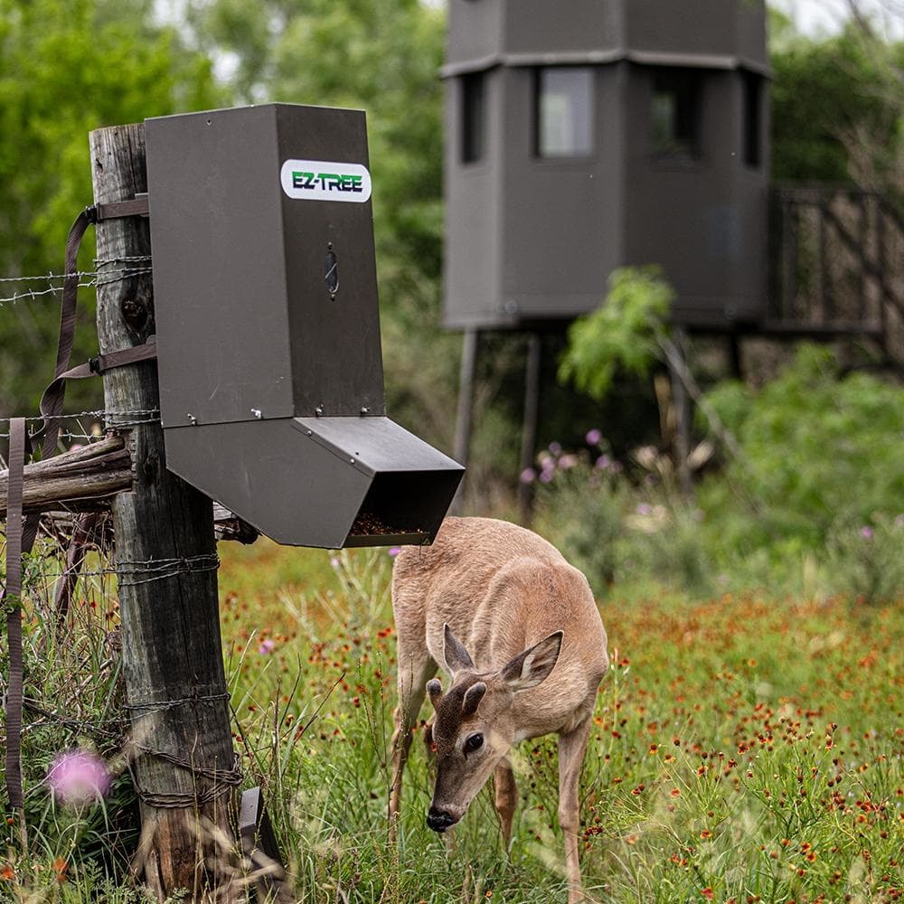 EZ Tree-Mounted Deer Feeder for Rice Bran, Corn, & More – All Seasons ...