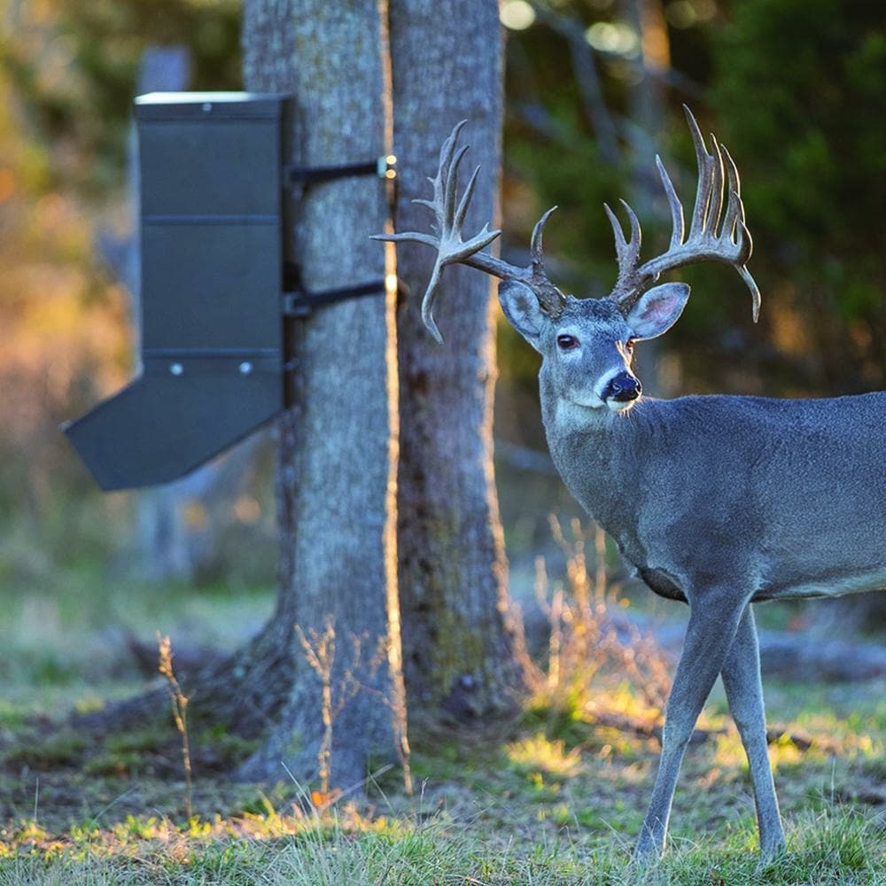 EZ Tree-Mounted Deer Feeder for Rice Bran, Corn, & More