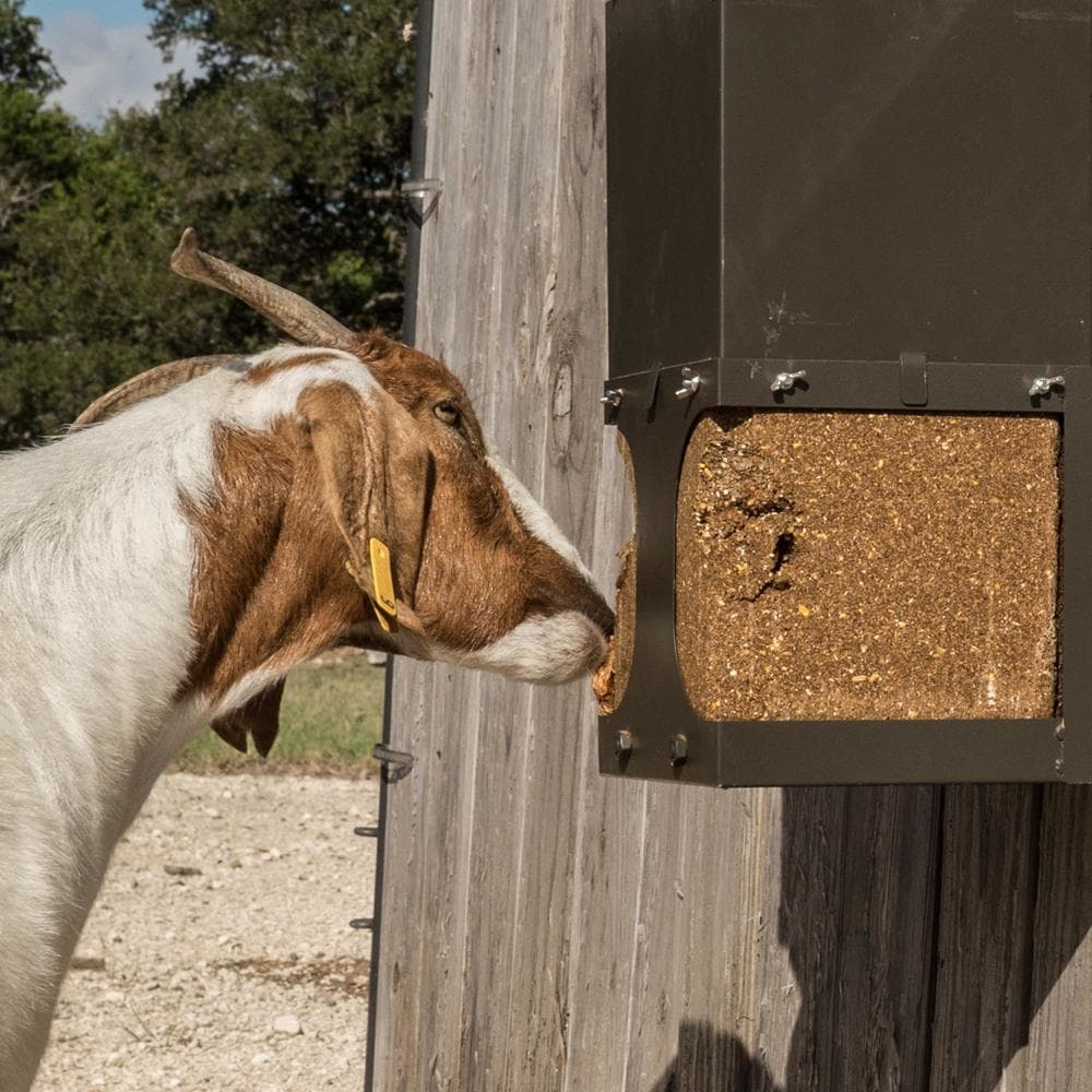 EZ Deer Block Feeder | Protein Deer Block Holder