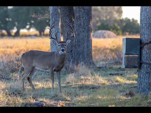 EZ Deer Block Feeder | Protein Deer Block Holder