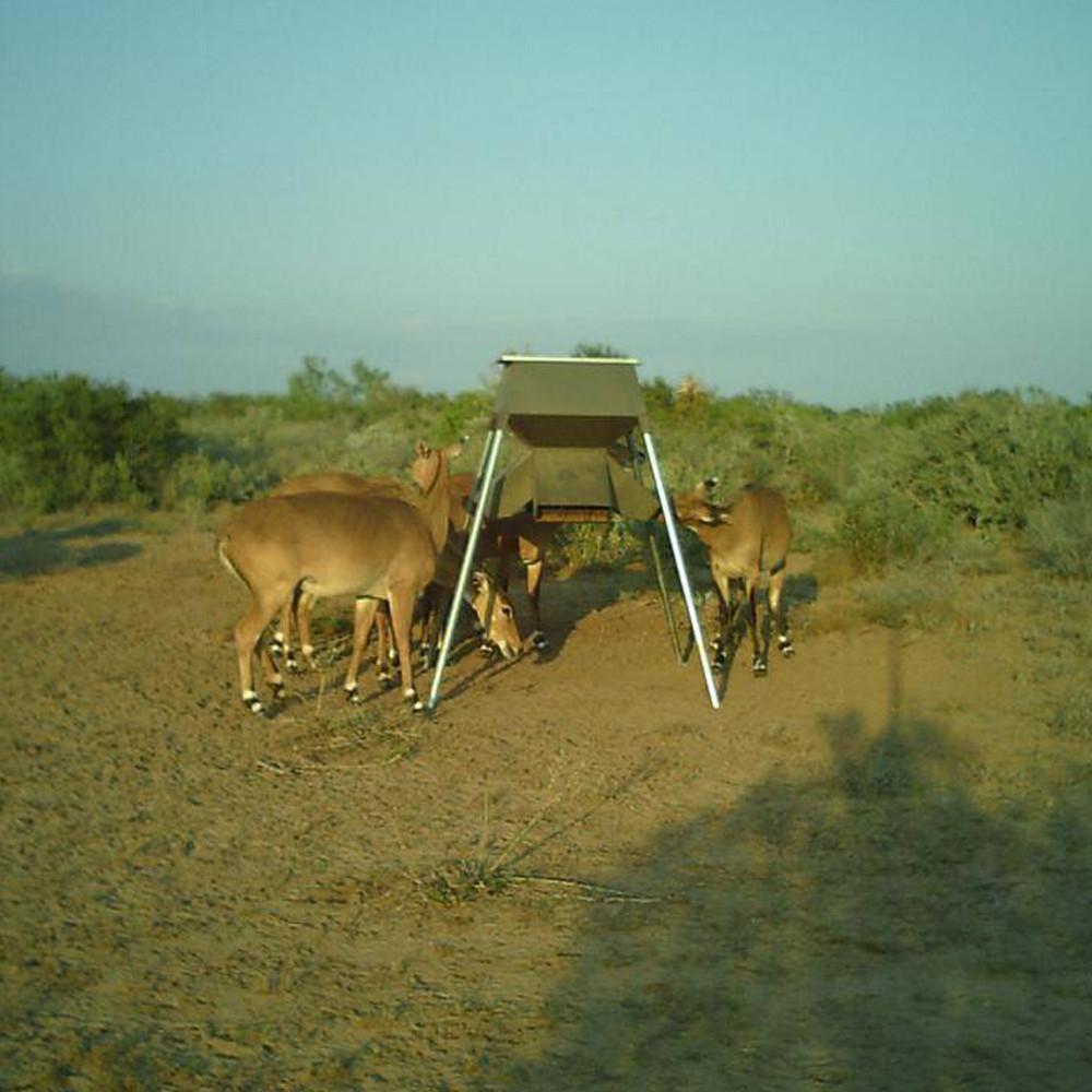 500-lb. Deer Feeder (Stand & Fill Style) | All Seasons Feeders